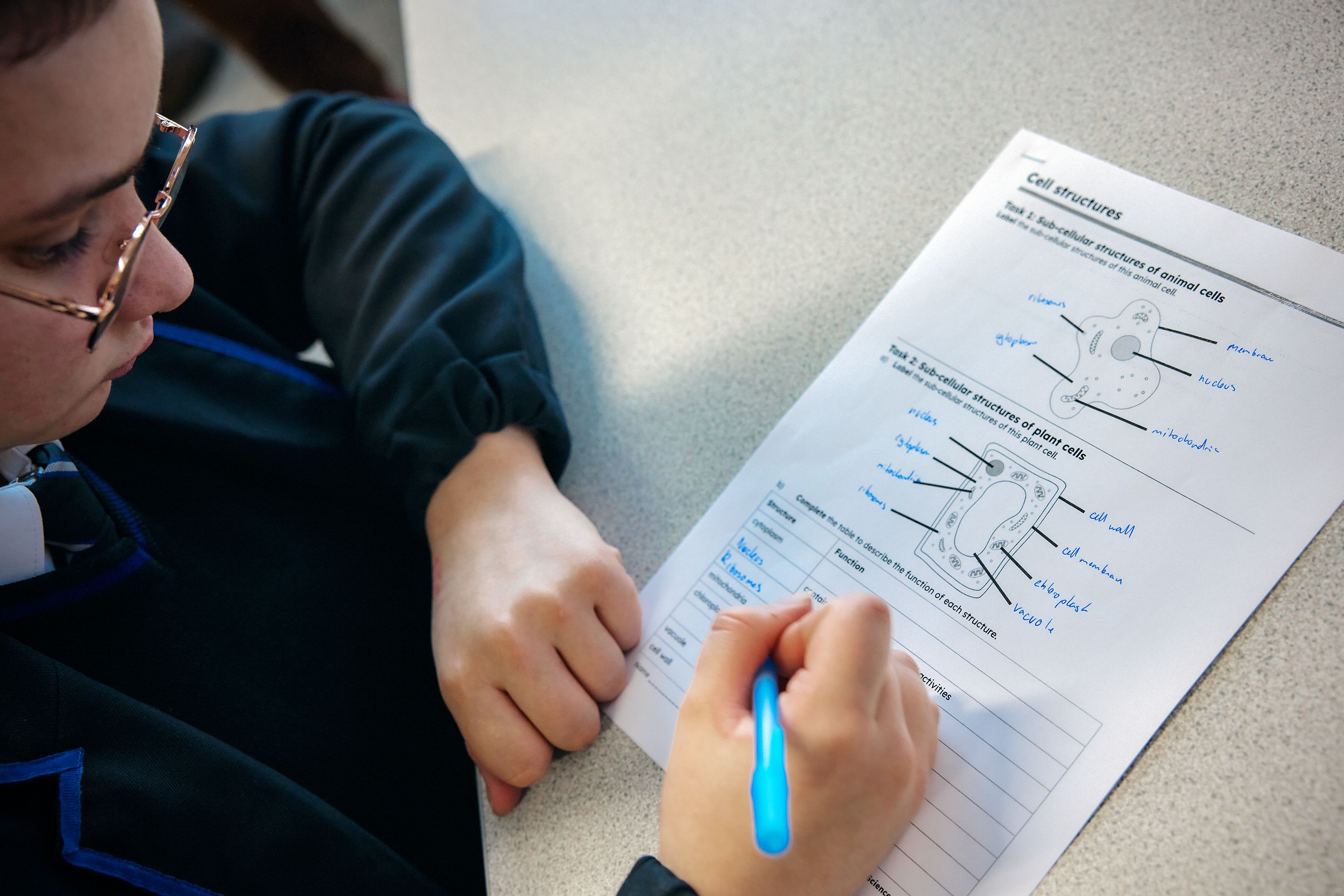 How to create your own lesson plan template | Oak National Academy